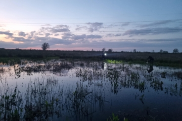Steart Marshes | WWT